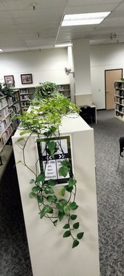 DOWNTOWN RENO LIBRARY - Updated May 2025 - 84 Photos & 35 Reviews - 301 ...