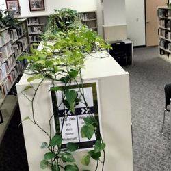 DOWNTOWN RENO LIBRARY - 67 Photos & 32 Reviews - 301 S Center St, Reno ...