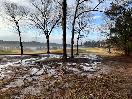 PLANTERRA CLUB - Updated August 2025 - 500 Clubhouse Dr, Peachtree City ...