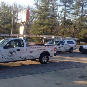 BULWARK EXTERMINATING - 10 Photos & 33 Reviews - 5310 Old Wake Forest ...