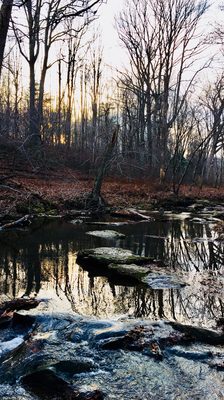 RACHEL CARSON CONSERVATION PARK - Updated January 2026 - 27 Photos ...