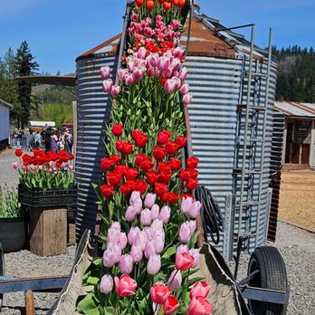 KNUTSON FARMS - Updated October 2025 - 155 Photos & 41 Reviews - 16406 ...