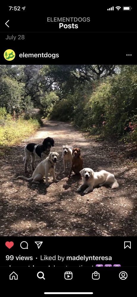 IN THEIR ELEMENT - Updated August 2025 - 22 Photos & 88 Reviews ...