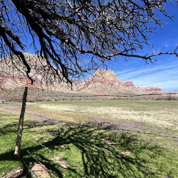 SPRING MOUNTAIN RANCH STATE PARK - Updated February 2025 - 1034 Photos ...