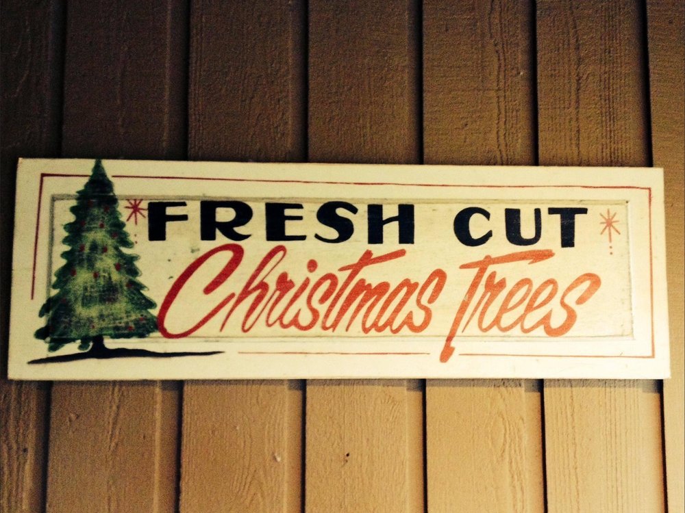 REICHEN CHRISTMAS TREE FARM - Updated March 2026 - 8450 NW 185th Ave ...