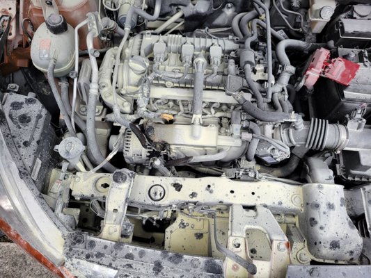 UNIVERSAL NISSAN - Updated December 2025 - 215 Photos & 239 Reviews ...