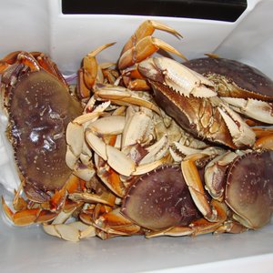 TRI OCEAN - 28 Photos & 16 Reviews - 903 S Federal Blvd, Denver ...