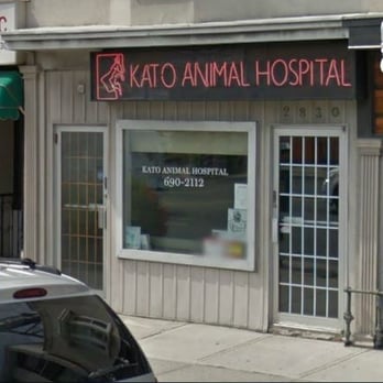 KATO ANIMAL HOSPITAL - Updated April 2026 - 33 Photos & 18 Reviews ...