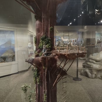 THE MINI TIME MACHINE MUSEUM OF MINIATURES - Updated October 2024 - 638 ...