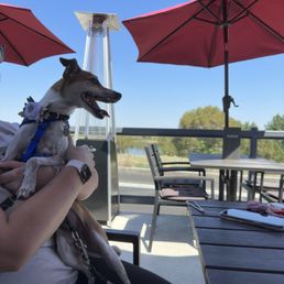 Fable Craft Bar, Wine Saloon, Food Joint - Reserve Now - New American ...