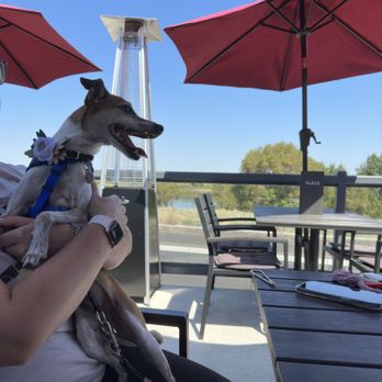 FABLE CRAFT BAR, WINE SALOON, FOOD JOINT - Updated January 2025 - 61 ...