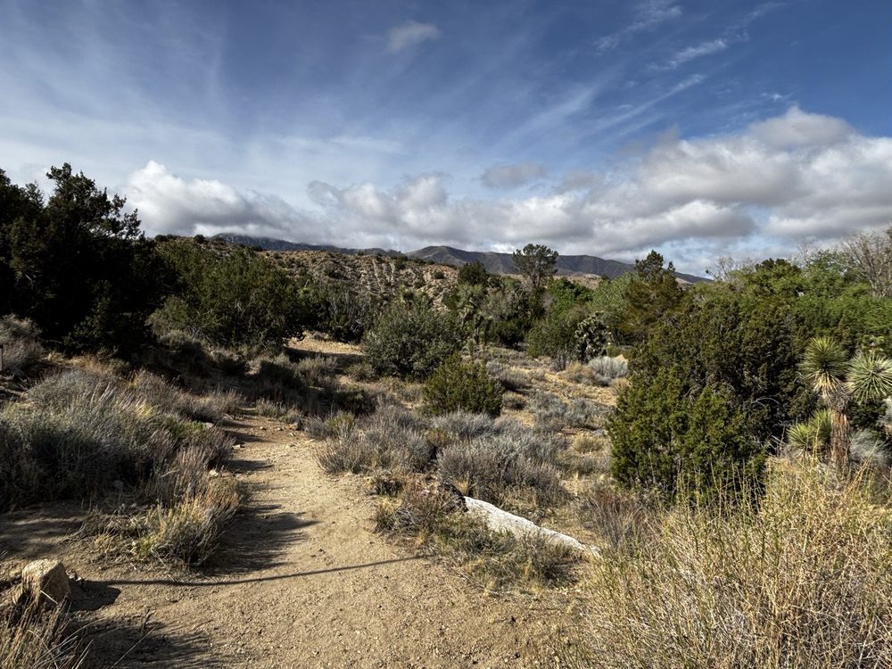 ST ANDREW’S ABBEY - Updated December 2025 - 123 Photos & 27 Reviews ...