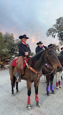 PEDROTTI’S RANCH - Updated July 2025 - 32 Photos & 38 Reviews - 13715 ...