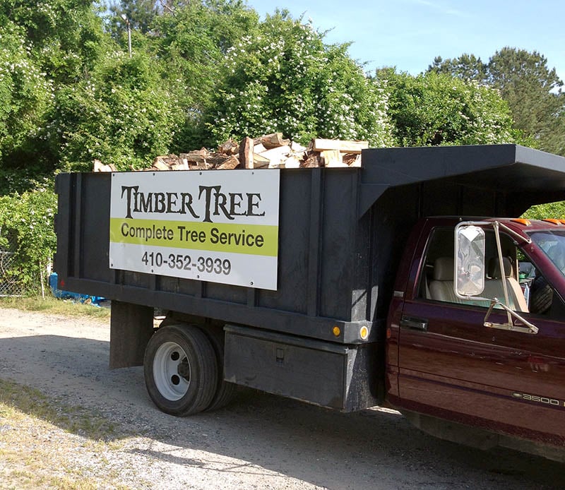 TIMBER TREE SERVICE - Updated October 2025 - 10101 Hayes Landing Rd ...