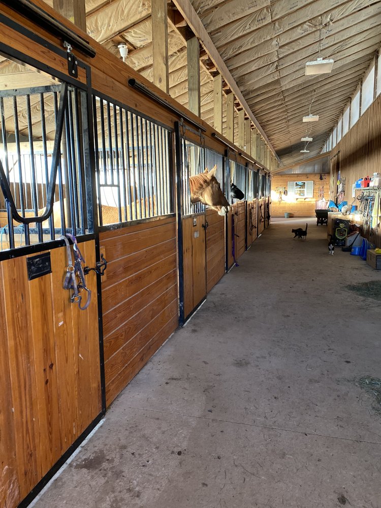STONINGTON SUNSET STABLE - Updated October 2025 - 51 Photos - Sunbury ...