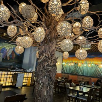 AZTECA D’ORO WESLEY CHAPEL - Updated July 2025 - 261 Photos & 151 ...