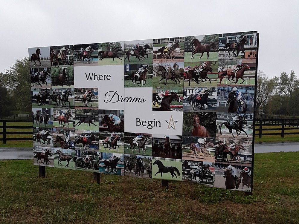 WINSTAR FARM | 14 Photos | 3001 Pisgah Rd, Versailles, Kentucky ...