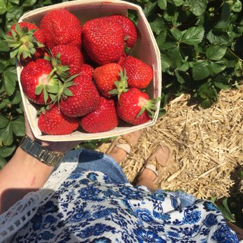 FOUR TOWN FARM - Updated September 2025 - 129 Photos & 87 Reviews - 90 ...