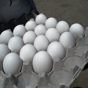 GLAUM EGG RANCH - Updated October 2025 - 72 Photos & 62 Reviews - 3100 ...