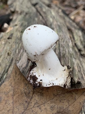 R GARLAND DODD PARK AT POINT OF ROCKS - Updated October 2024 - 77 ...