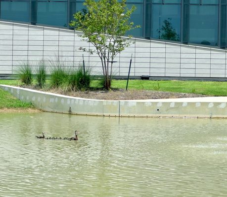 FORT BEND COUNTY LIBRARY FULSHEAR BRANCH - Updated October 2025 - 25 ...