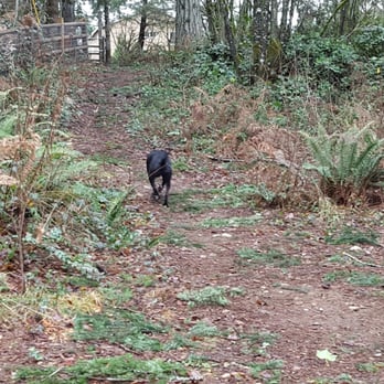 LAKE STICKNEY COMMUNITY PARK - Updated December 2025 - 16 Photos & 15 ...