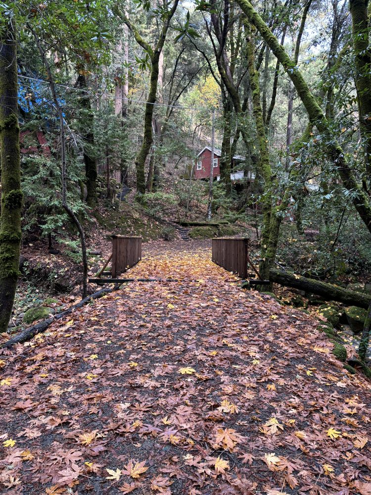 SVEADAL SOCIAL CLUB - Updated August 2025 - 8220 Croy Rd, Morgan Hill ...