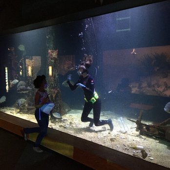 MISSISSIPPI MUSEUM OF NATURAL SCIENCE - Updated October 2025 - 229 ...