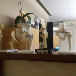 ORTHOPEDIC PHYSICIANS ALASKA - 12 Photos & 36 Reviews - 3801 Lake Otis ...