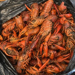 CAPTAIN SID’S SEAFOOD - Updated May 2024 - 55 Photos & 62 Reviews ...