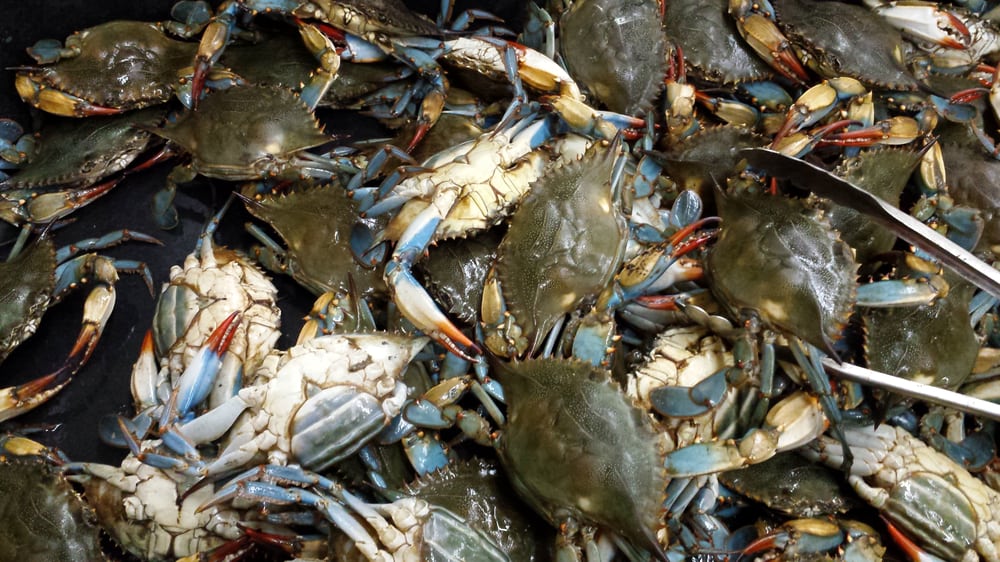 LA MART - Updated July 2025 - 39 Photos & 20 Reviews - 2159 W Patapsco ...