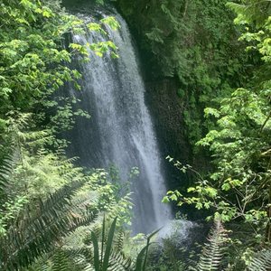 VICTOR FALLS - 35 Photos - Parks - 18212 Rhodes Lake Rd E, Bonney Lake ...