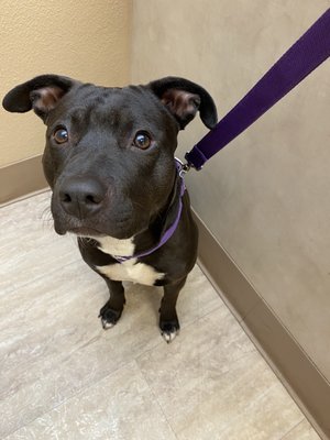 HUMANE SOCIETY OF SOUTHERN ARIZONA - Updated April 2025 - 51 Photos ...