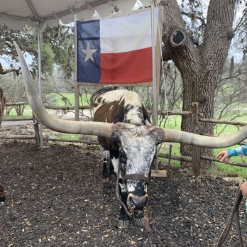 KNIBBE RANCH - Updated December 2025 - 42 Photos & 19 Reviews - 9836 ...