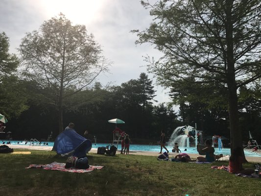 SAXON WOODS POOL - 12 Photos & 21 Reviews - 1800 Mamaroneck Ave, White ...