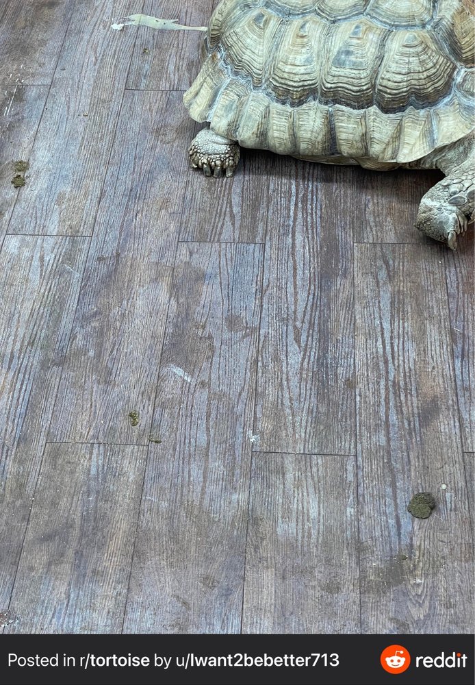 PETS PLUS NATURAL - Updated July 2025 - 44 Photos & 35 Reviews - 151 ...