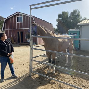 SUSIE Q RANCH - 197 Photos & 160 Reviews - 28330 Mary Pl, Murrieta ...