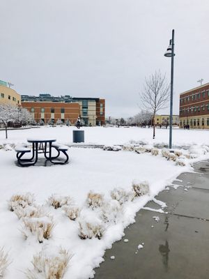 COLORADO MESA UNIVERSITY - Updated December 2025 - 13 Photos & 16 ...