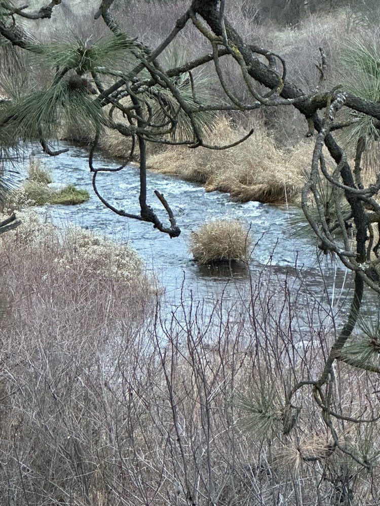 High Bridge Park Disk Golf Course, Spokane | Roadtrippers