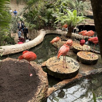 THE DALLAS WORLD AQUARIUM - Updated August 2024 - 3500 Photos & 1238 ...