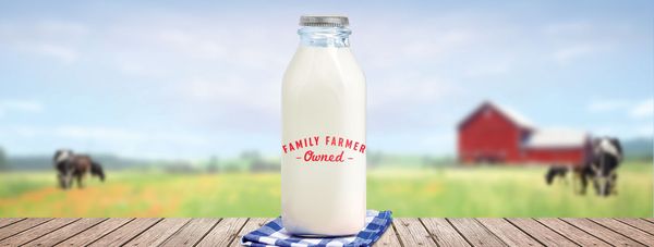 MARVA MAID DAIRY - Updated October 2025 - 5500 Chestnut Ave, Newport ...