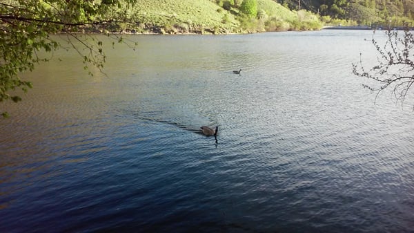 FIRST DAM PARK/CANYON ENTRANCE PARK - Updated October 2025 - US 89 ...