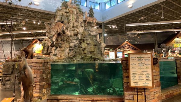 BASS PRO SHOPS - Updated July 2025 - 114 Photos & 91 Reviews - 6112 ...