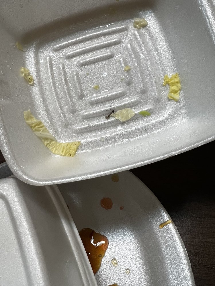 PANDA INN - Updated December 2025 - 10 Photos & 15 Reviews - 168 Morton ...