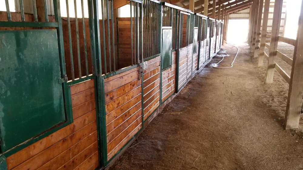 SILVER SADDLE RANCH & STABLES - Horse Boarding - 189 Roger's Rd ...