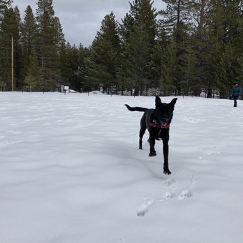 COACHLAND RV PARK - Updated December 2025 - 62 Photos & 109 Reviews ...