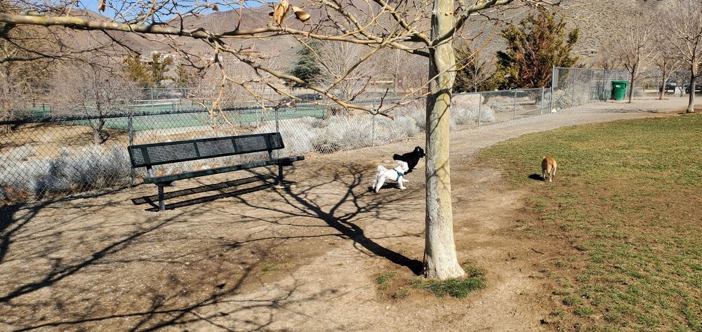 LINK PIAZZO DOG PARK - Updated September 2025 - 103 Photos & 77 Reviews ...