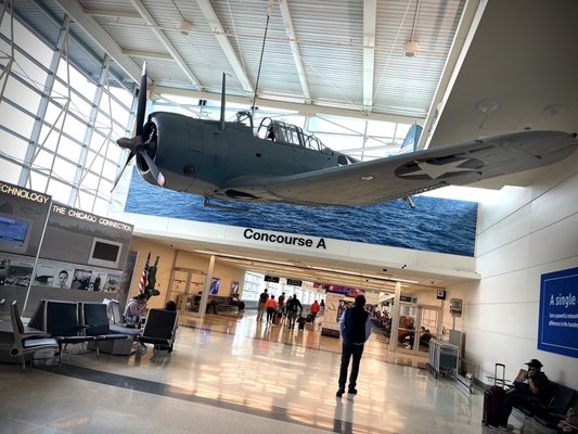 CHICAGO MIDWAY INTERNATIONAL AIRPORT - MDW - 1783 Photos & 1971 Reviews ...