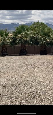 SUN RESORTS RV PARK - Updated November 2025 - 30 Photos & 37 Reviews ...