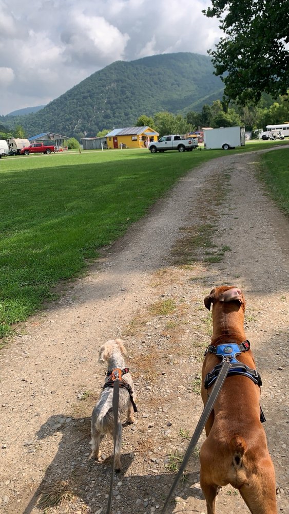 NEW RIVER JUNCTION CAMPGROUND - Updated September 2025 - 11 Photos & 18 ...